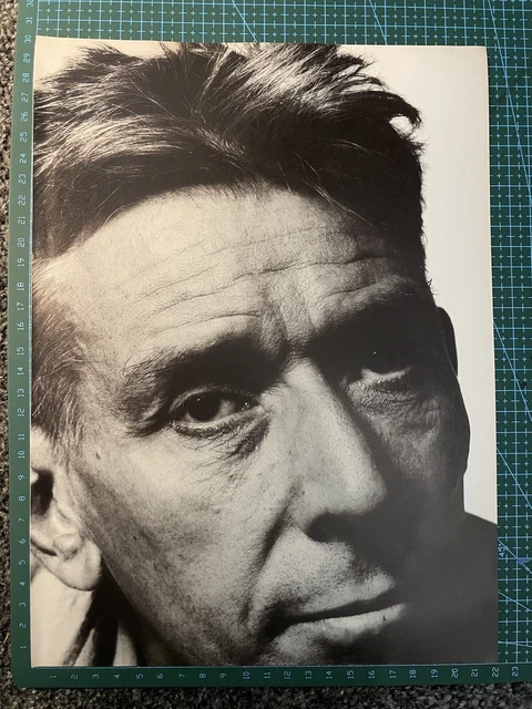 JOHN CALE A4 Poster/Magazine Clipping Velvet Underground £6.00 ...