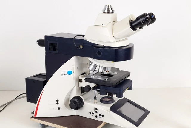 LEICA DM6000 B Fluoreszenz Mikroskop Fluorescence Microscope Fluotar ...