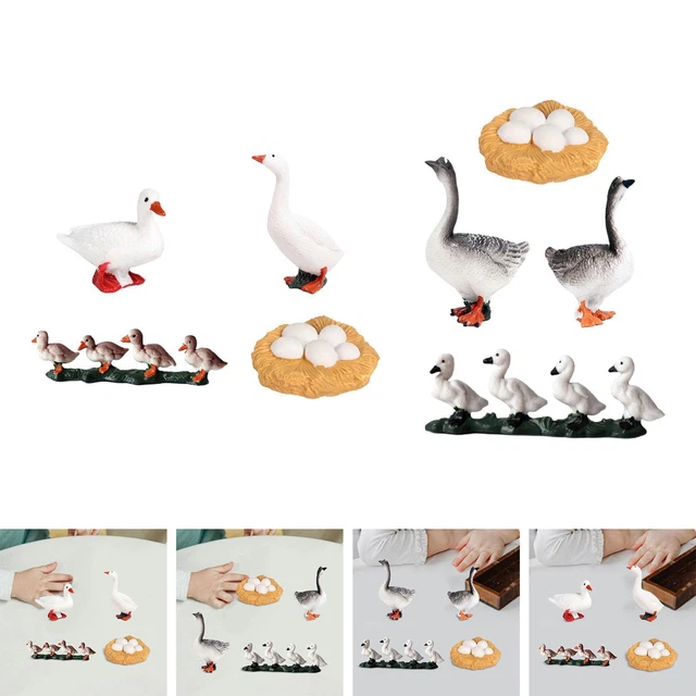 GOOSE LIFE CYCLE Model Teaching Props Cognitive Animal Figurines Growth ...