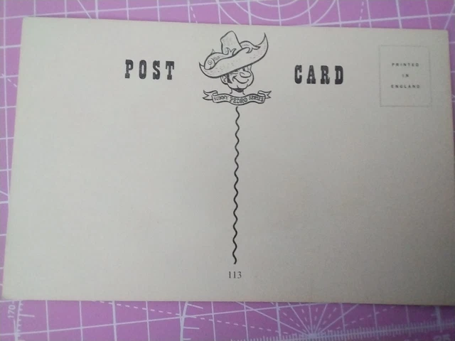 VINTAGE SAUCY SEASIDE Comic Postcard Sunny PEDRO Series No 113 £1.49 ...