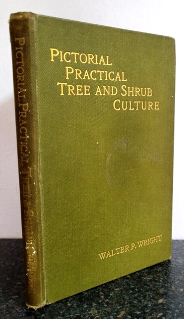 PICTORIAL PRACTICAL TREE & Shrub Culture by Walter P Wright 1905 £9.90 ...