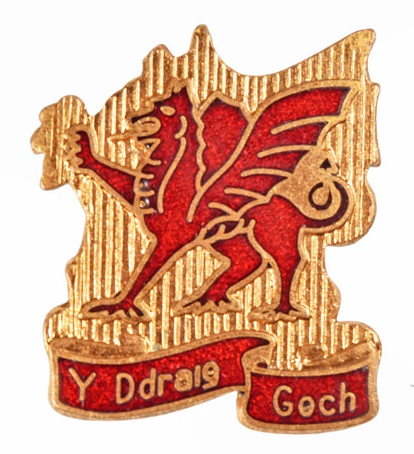 VINTAGE OLD WALES the Welsh Dragon 'Y Ddraig Goch' Enamel Brooch Badge ...