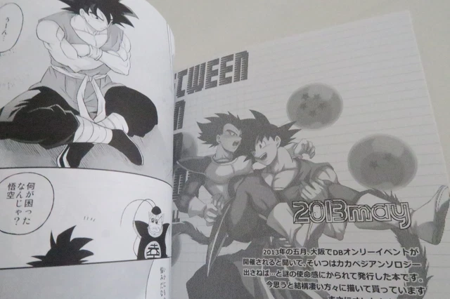 Dragon Ball Doujinshi Goku X Vegeta B5 76 Pages Autour De Sairoku 2013 Saiaiai Eur 11236