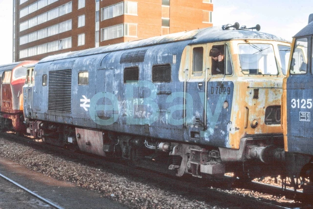UK RAILWAY PHOTOGRAPH Class 35 Hymek Locomotive D7029. RM35-26 £1.70 ...