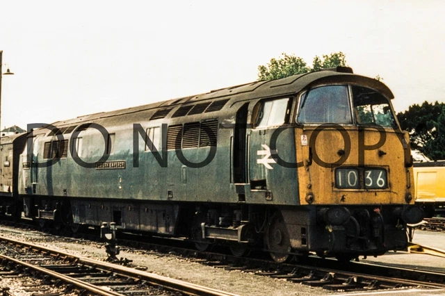 UK DIESEL TRAIN Railway Photograph Of Class 52 Western D1036. Rm52-103 ...