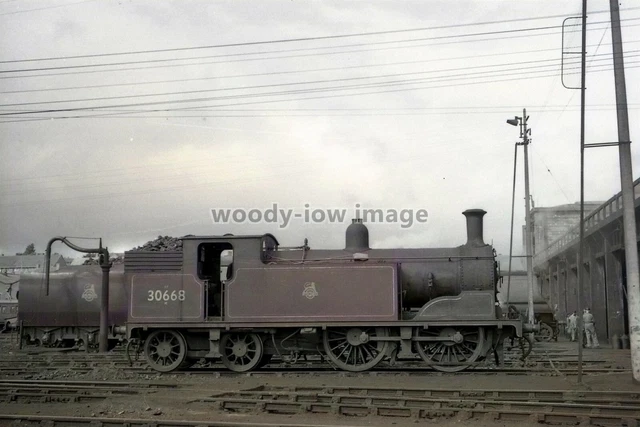 COL0202 - RAILWAY Engine 30668 at Exeter Shed 1954 - print 6x4 £2.20 ...
