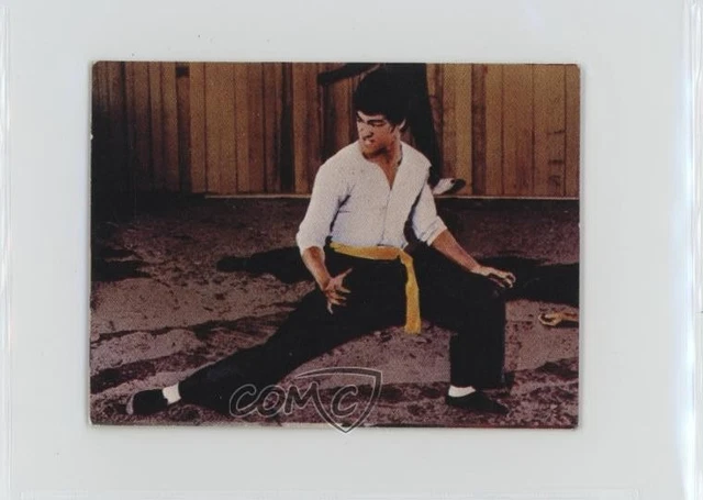 1974 YAMAKATSU TOWA Bruce Lee Dragon Series Bruce Lee #16 0q9m £4.36 ...
