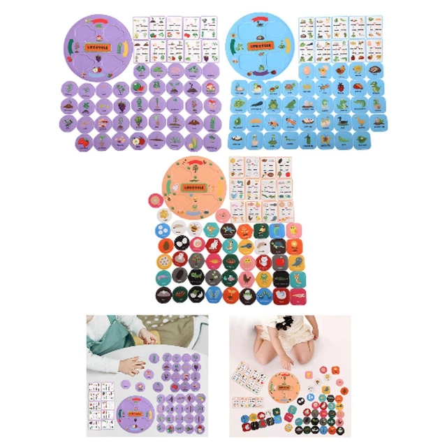 INTERACTIVE LIFE CYCLE Set for Understanding Food Chains in Early ...