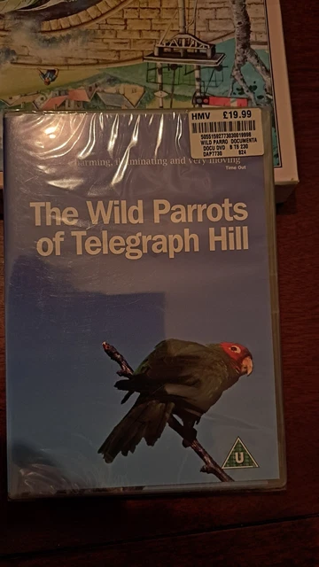 THE WILD PARROTS Of Telegraph Hill Dvd 2004 ICA Projects Shrink Wrapped ...