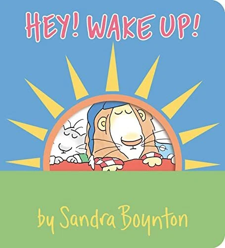 SANDRA BOYNTON HEY! Wake Up! (Libro de cartón) Boynton on Board EUR 10 ...