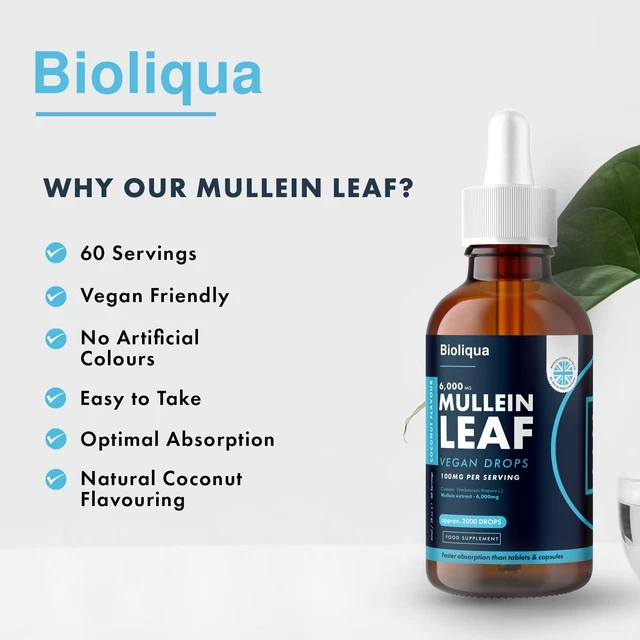 MULLEIN LEAF LIQUID Drops 60ml 2 Month Supply High Strength Vegan 60 ...
