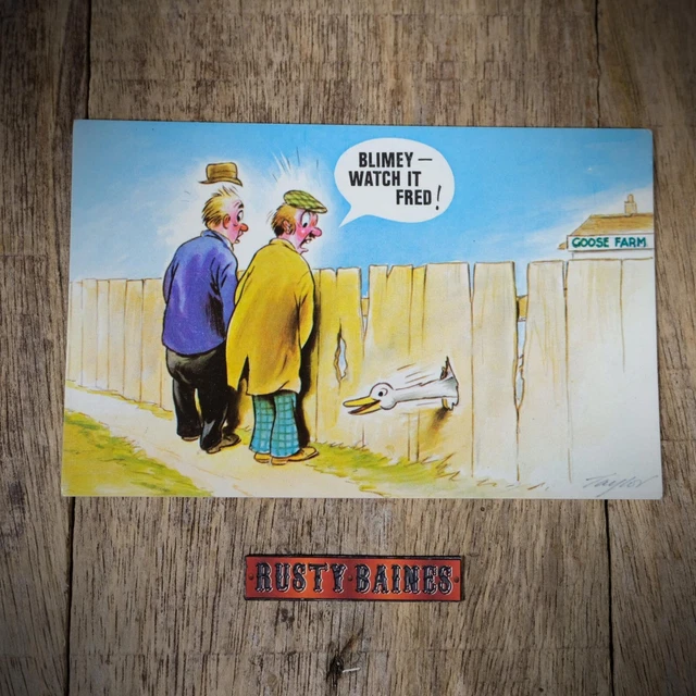 VINTAGE COMIC POSTCARD, Bamforth, Toilet Humour, Snapping Goose, Farm ...