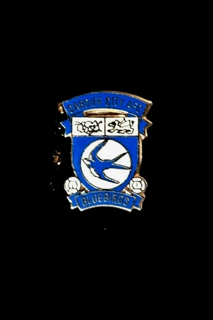 CARDIFF CITY FOOTBALL Club Pin Badge 17Mm £3.29 - PicClick UK