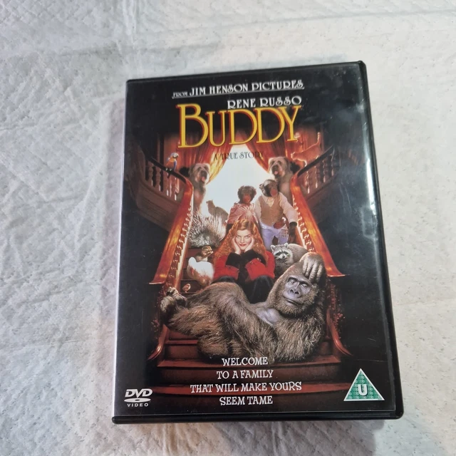 BUDDY DVD DRAMA (2005) Rene Russo £2.26 - PicClick UK