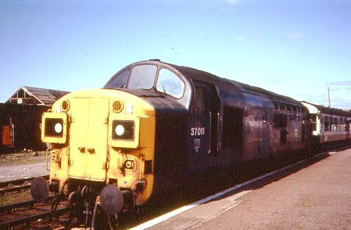 ORIGINAL COLOUR SLIDE of 37011 BR class 37 diesel loco £1.99 - PicClick UK