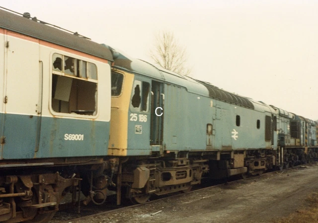 BRITISH RAILWAY B.R Photograph - Class 25 25186 At Swindon Works 26/11 ...