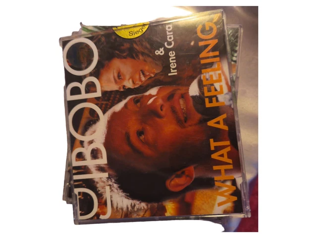 DJ BOBO IRENE Cara What a Feeling CD Single Popmusik Hit EUR 5,95 ...