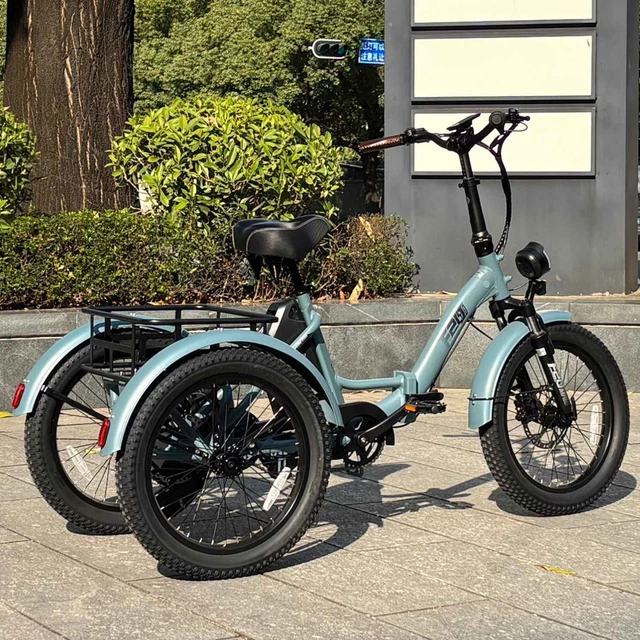 FAFREES CARGO TRIKE 48V Elektro Dreirad E-Bike 20 Zoll Tricycle 3 ...