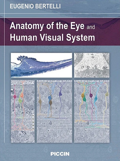 ANATOMY OF THE Eye and Human Visual System - Bertelli Eugenio £84.10 ...