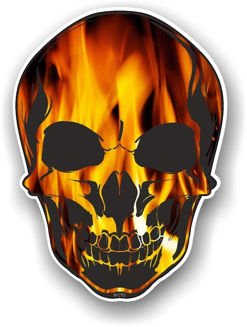 VECCHIO GOTICO DESIGN Teschio Con Realistico Fiamme Flag Auto Vinile ...
