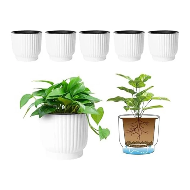VASI PER PIANTE autoirriganti set 5 pezzi in resina per idratazione ...