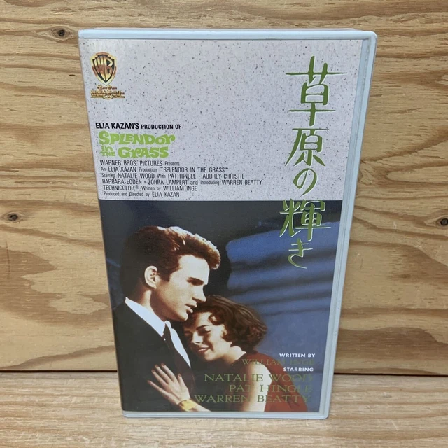 Y90B2250731 VHS BRIGHTNESS Prairie Natalie Wood Warren Beatty Subtitle ...