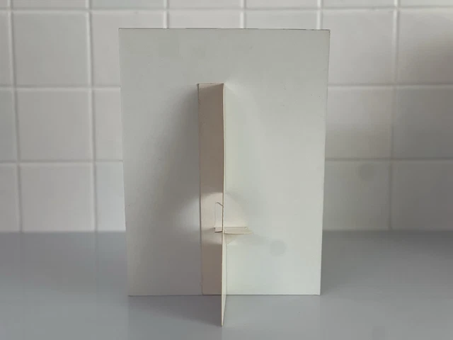 TOUCH! GENERATIONS (2007) Nintendo DS Retail Standee Australia $200.00 ...