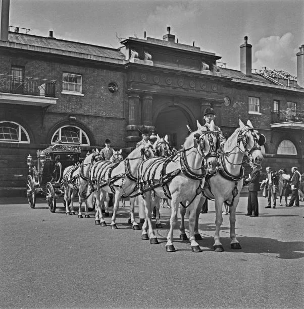 THE IRISH STATE Coach at the royal stables on Royal Mews 1960s OLD ...