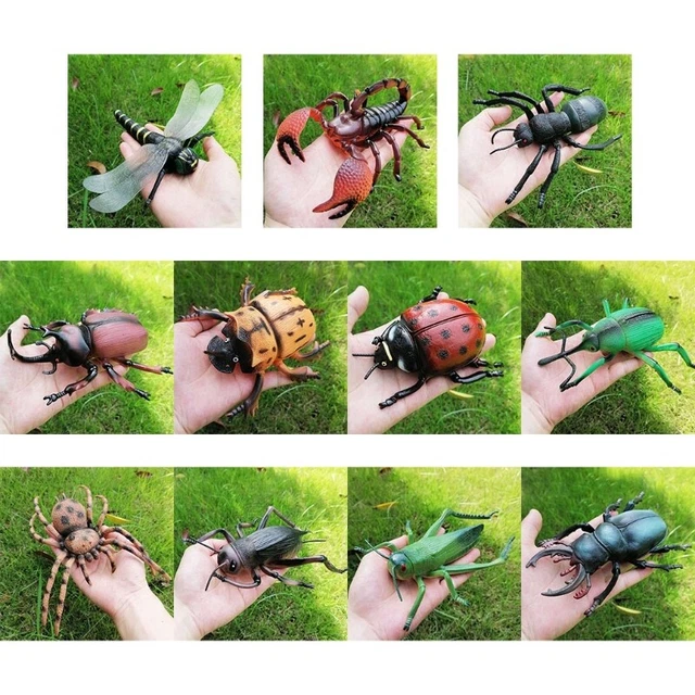 CREEPY FAKE SPIDERS Cricket Grasshoppe Insect Simulation Model £5.02 ...