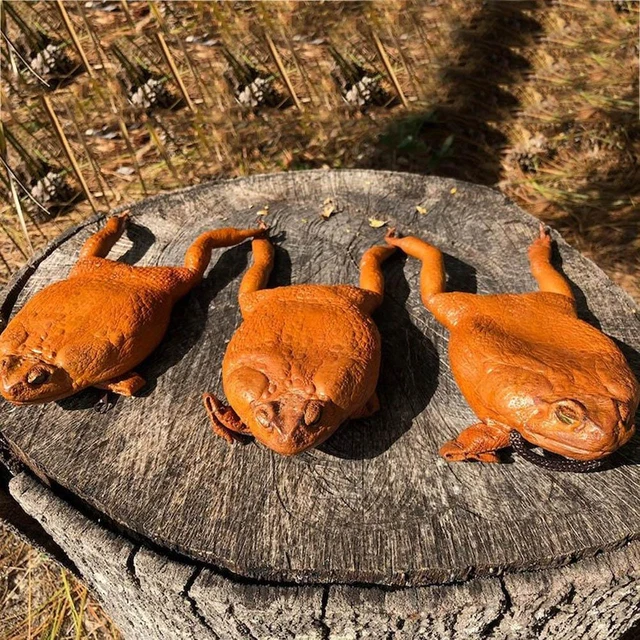 CAÑA DE AZÚCAR Sapo Carteras de Cuerpo Completo Animal Cartera Sapo ...