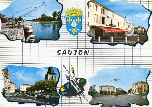 CARTE SAUJON MULTIVUES façon palette du Peintre EUR 5,00 - PicClick FR