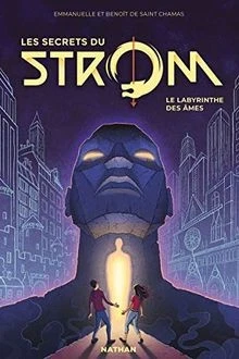 LES SECRETS DU Strom - Le labyrinthe des âmes - Tome ... | Livre | état ...