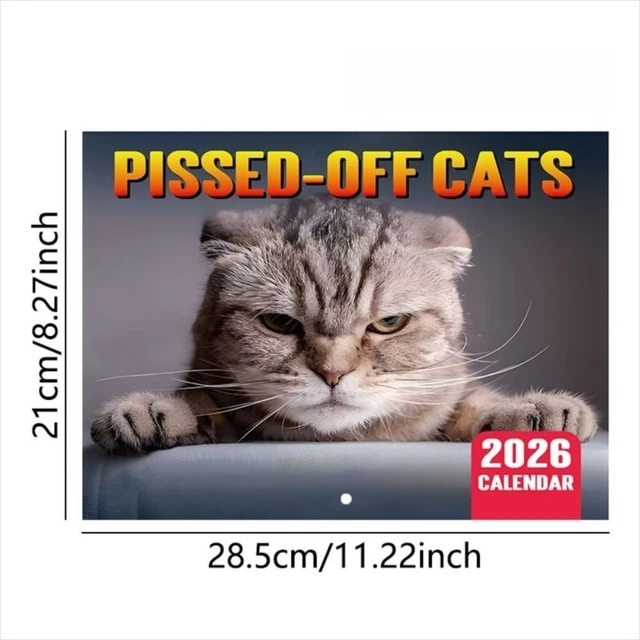SQUARE PISSED-OFF CATS Calendar Cartoon Animal Wall Calendar Home ...