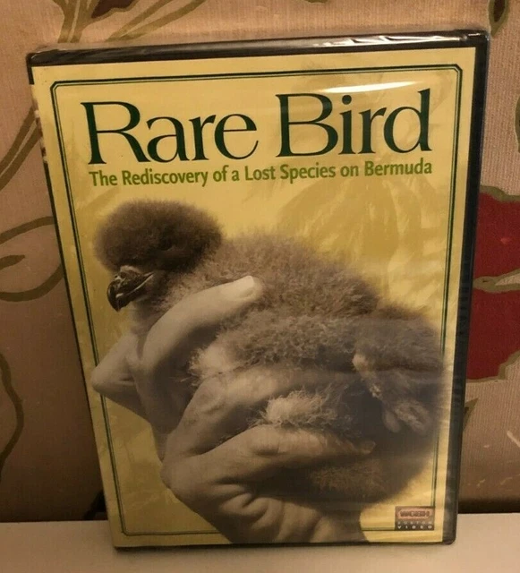 RARE BIRD THE Rediscovery of a Lost Species on Bermuda Region 1 DVD NEW ...