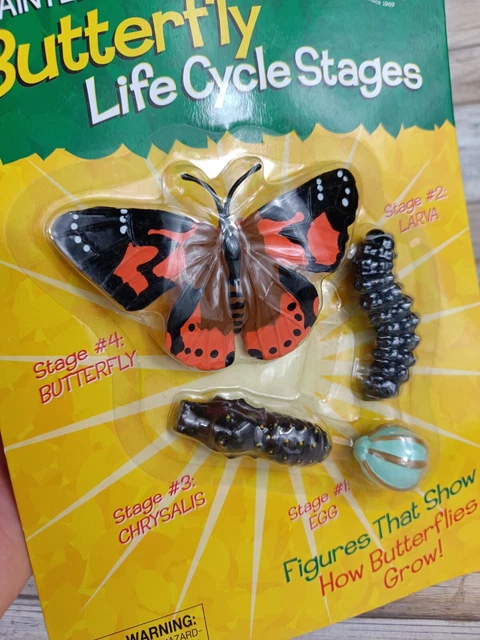 INSECT LORE LIFE Cycle Stages Butterfly Caterpillar (New & Sealed) £10. ...