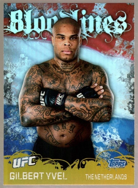 RÉFRACTEUR OR GILBERT Yvel The Netherlands Bloodlines #Bl-6 Sp 2010 ...