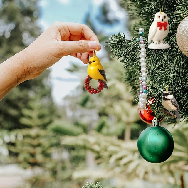 2025 BIRD ADVENT Calendar 24 Days 2D Acrylic Christmas Countdown ...