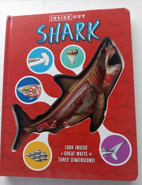 SHARKS INSIDE OUT Shark, Look inside a Great White by David George ...