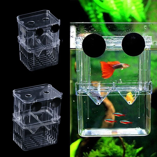 DESIGN AQUARIUM ISOLATION Shrimp Hatchery Fish Breeding Box Fish Tank ...