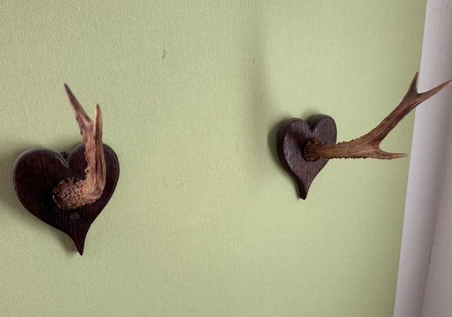 PORTE-FUSIL PATERES EN Bois Et Corne Chasse Taxidermie porte manteaux ...