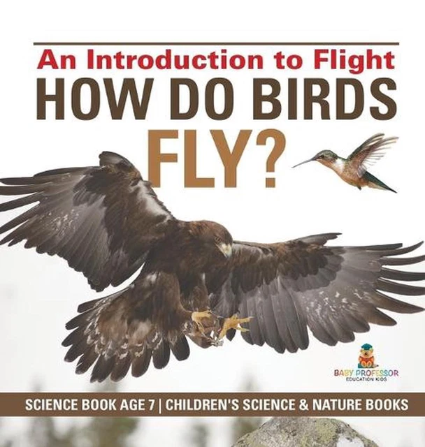 HOW DO BIRDS Fly? An Introduction to Flight - Science Book Age 7 ...