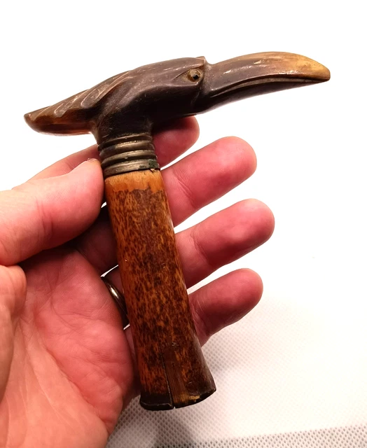 CANNE POMMEAU TÊTE oiseau corne sculpté vintage / Walking stick bird ...