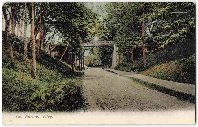FILEY YORKSHIRE THE Ravine Nr Scarborough - Pre WW1 Postcard M30 £1.25 ...