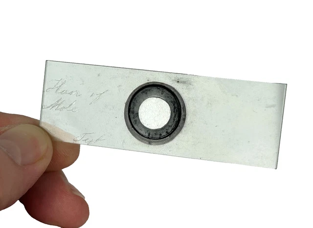 ANTIQUE MICROSCOPE SLIDE- Hair Of Mole Tuft- Etched Glass- Darker ...
