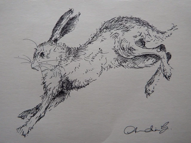 ORIGINAL SIGNED SMALL pencil drawing of a hare leaping jumping on ivory ...