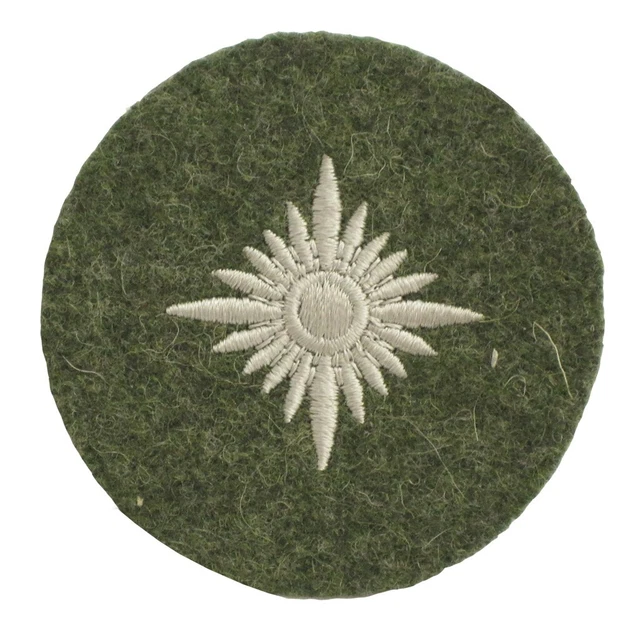 WW2 GERMAN OBERSCHUTZE Rank Star Army on field grey cloth ...