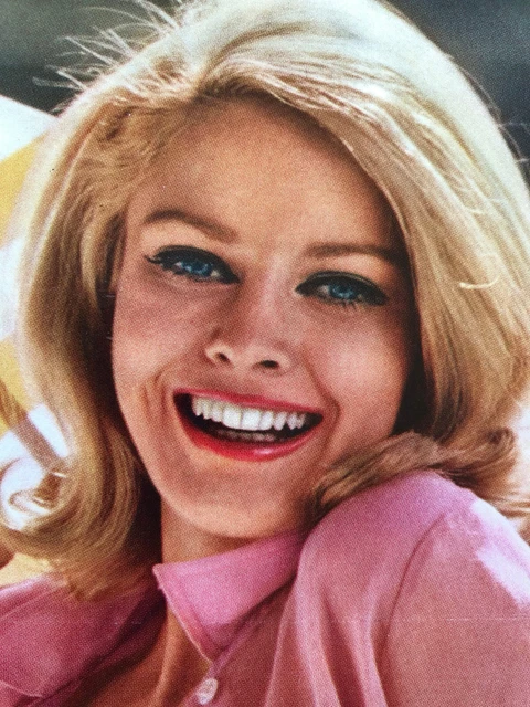 VINTAGE 1967 PLAYBOY Miss May Anne Randall Centerfold and Pictorial ...