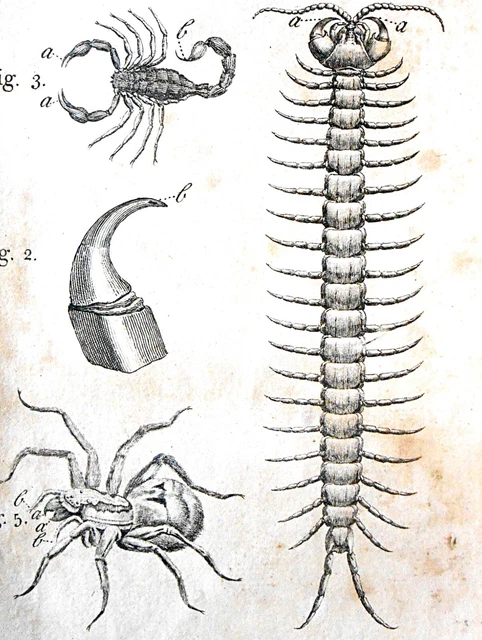 ‘A MECHANICAL ACCOUNT of Poisons' published in 1747 £20.00 - PicClick UK