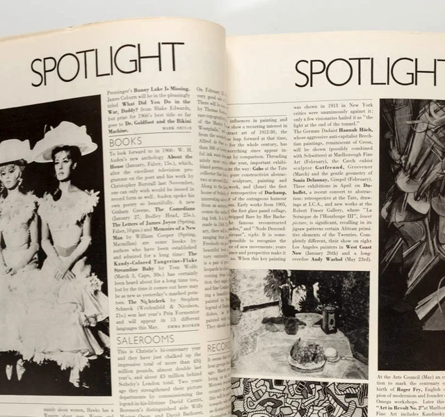 CHRISSIE SHRIMPTON MEXICO Veruschka BAILEY Vogue January 1966 60th ...