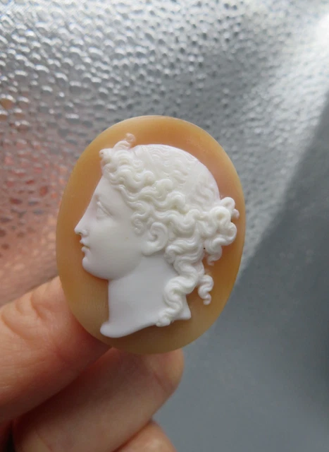 ANTIQUE SHELL CAMEO unmounted £95.00 - PicClick UK